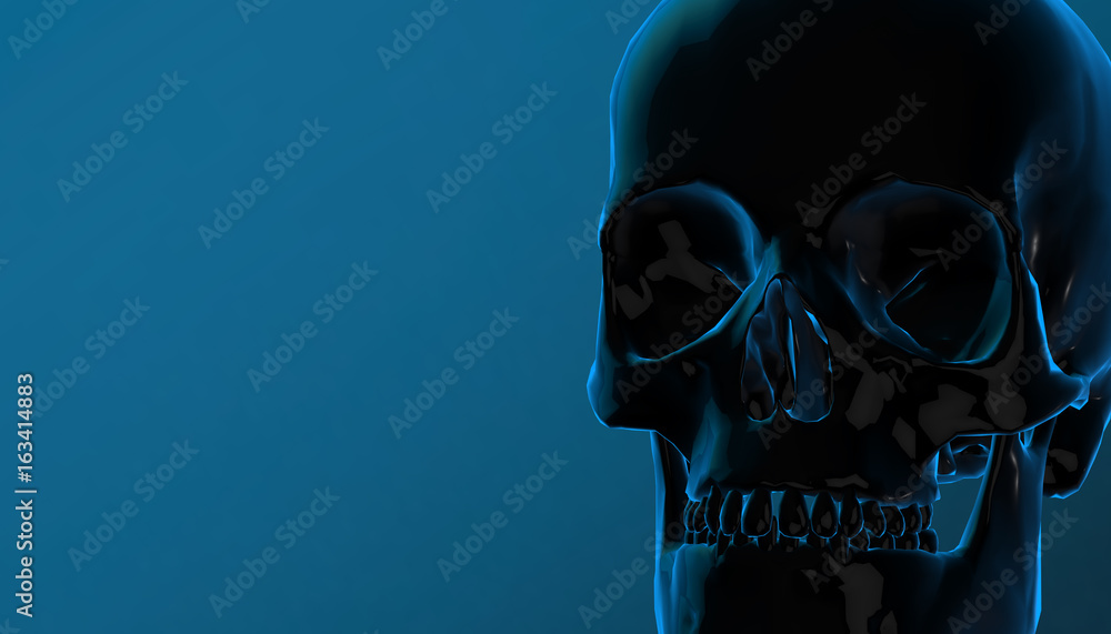 Human skull with dark background. Death, horror, anatomy and halloween ...