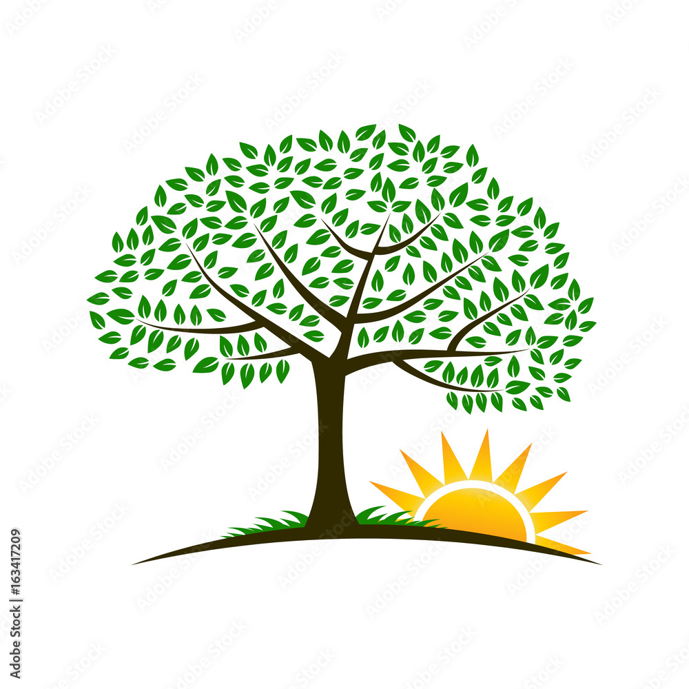 Tree Sunrise Image Logo Stock Vector | Adobe Stock