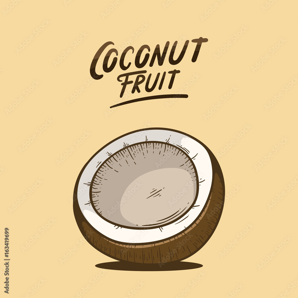 Coconut fruit doodle hand drawn vector illustration Stock Vector ...