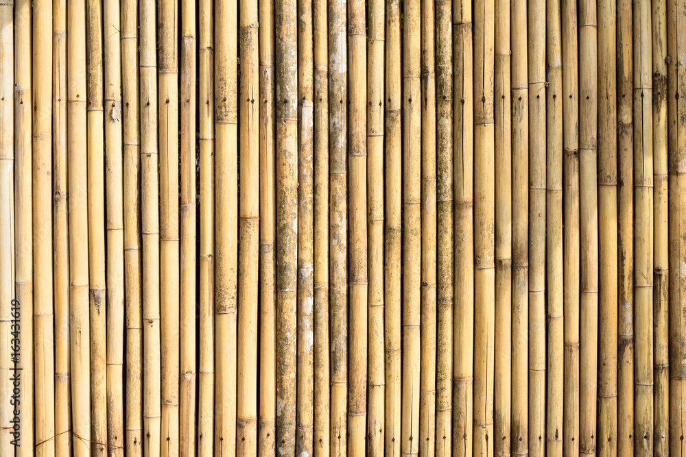 Texture of bamboo fence, nature background Stock Photo | Adobe Stock