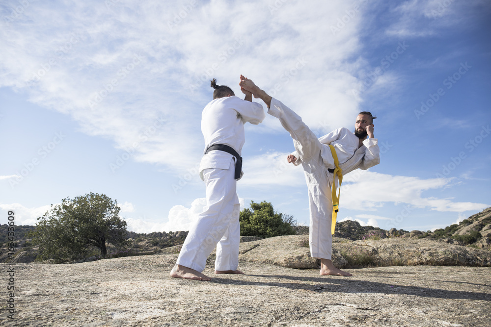 Man doing a high kick during a martial arts combat Stock Photo | Adobe ...