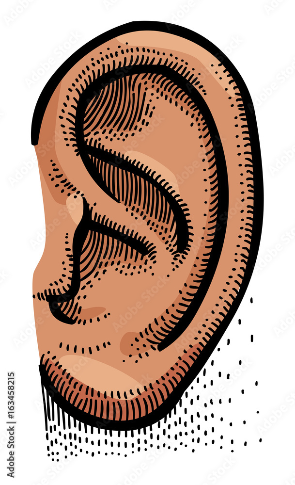Cartoon image of human ear. An artistic freehand picture. Stock Vector ...