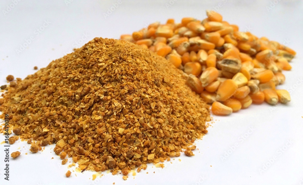 Foto de Yellow gold Corn Distiller's dried grains with solubles (DDGS ...