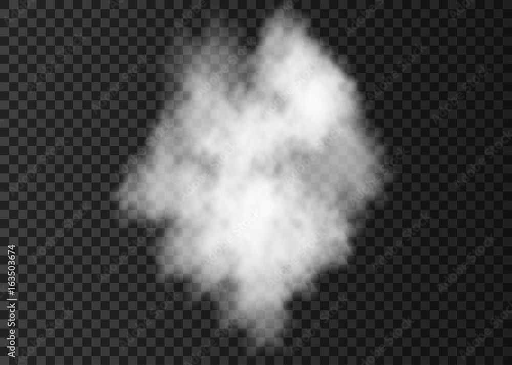 Poster White smoke bomb effect isolated on transparent background ...