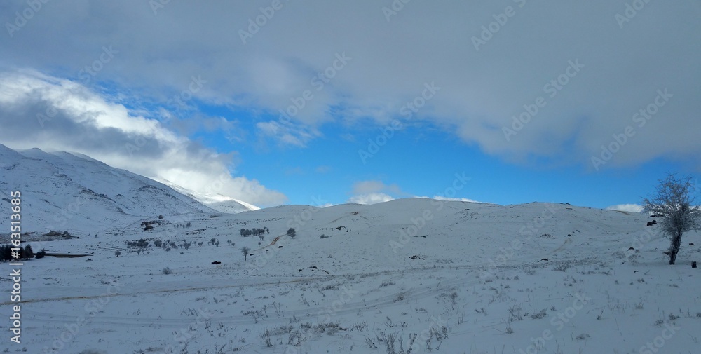 Estos son algunos paisajes de Libano Stock Photo | Adobe Stock