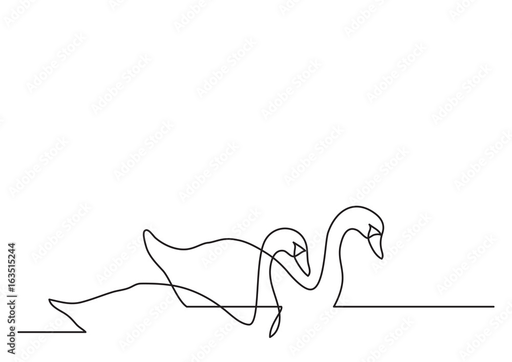 Two Swans Drawing