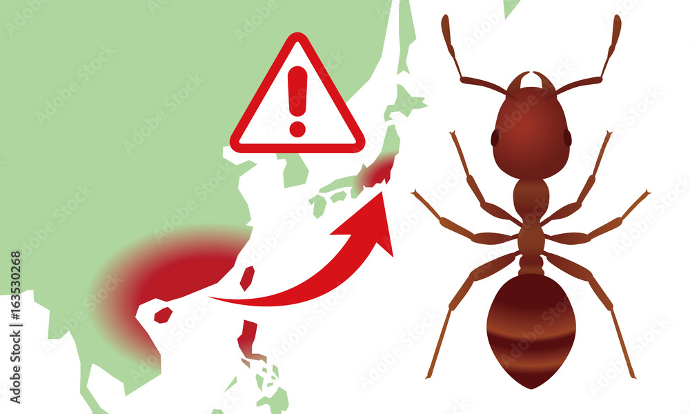 fire ants invasion of japan. Stock Vector | Adobe Stock