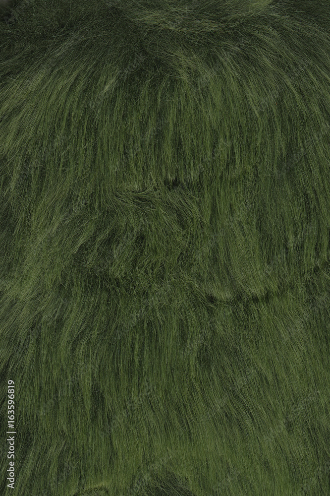Dark green long fur texture background Stock Photo | Adobe Stock