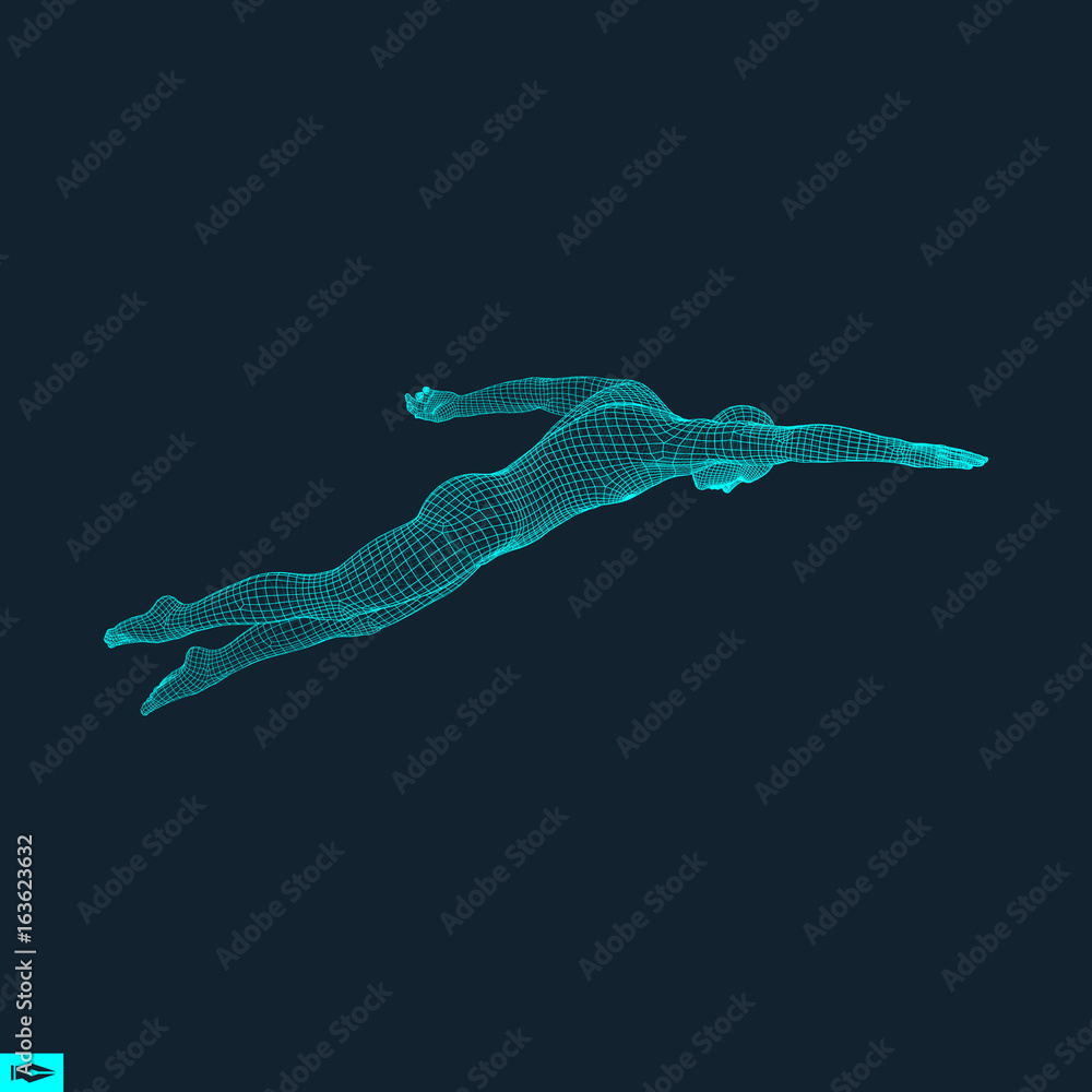 3D Swimming Man. Vector Image of a Swimmer. Human Body. Sport Symbol ...
