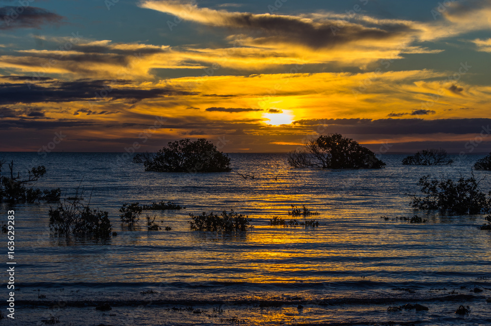 Golden sunset at Weeroona Island located in Germein Bay South Australia ...