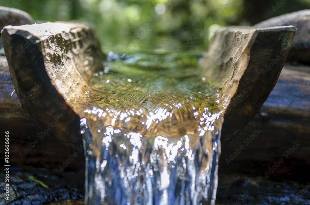 water source in the forest macro Stock Photo | Adobe Stock