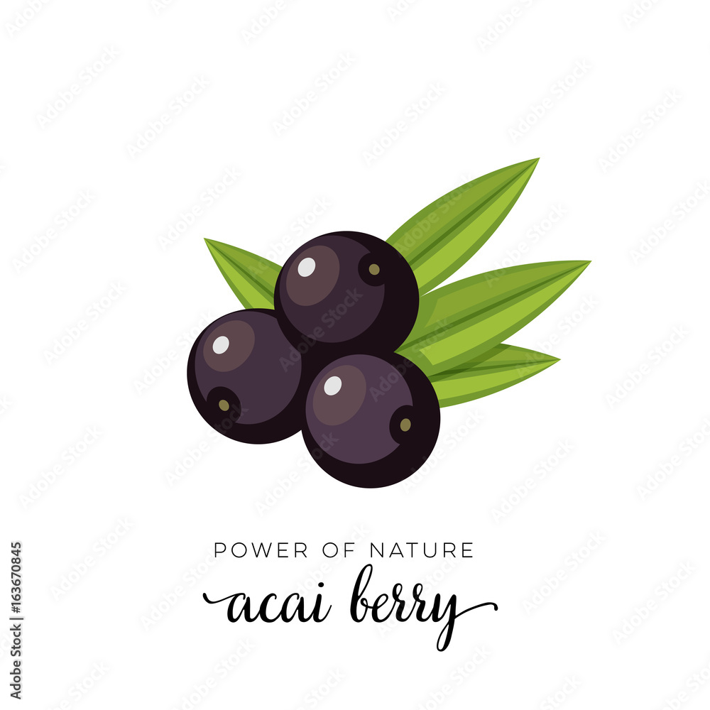 Black acai berry flat icon with inscription colorful vector ...