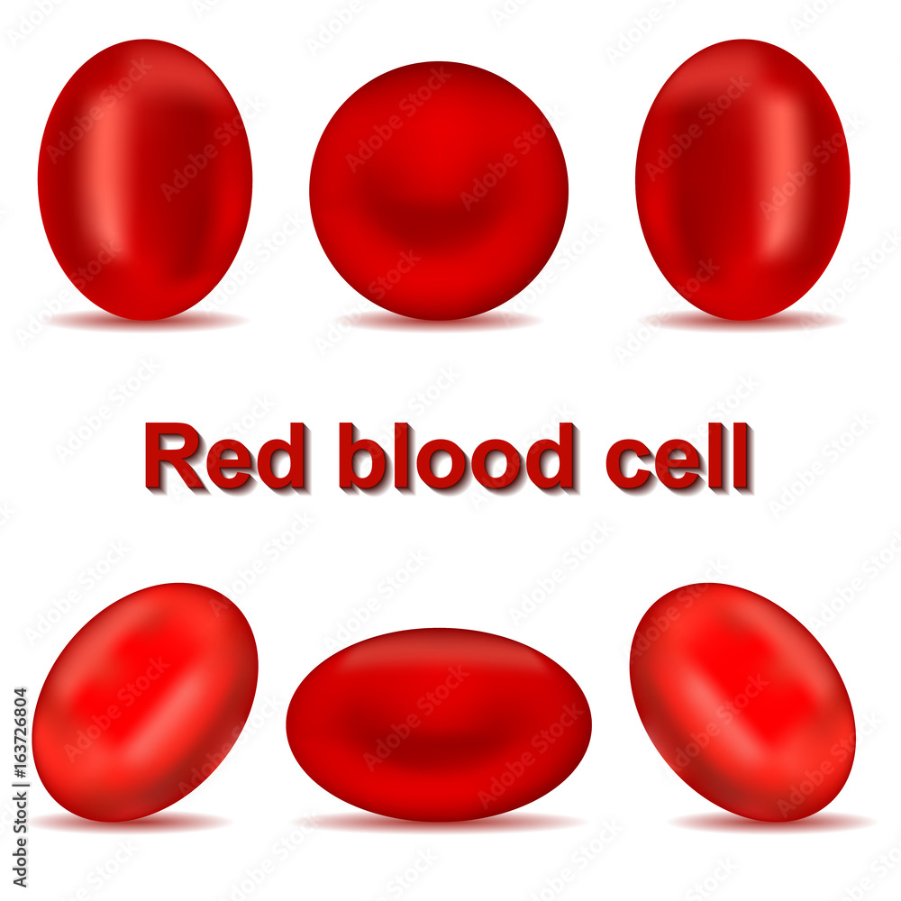Red blood cells. Artery. A cartoon. For your design. Stock Vector ...