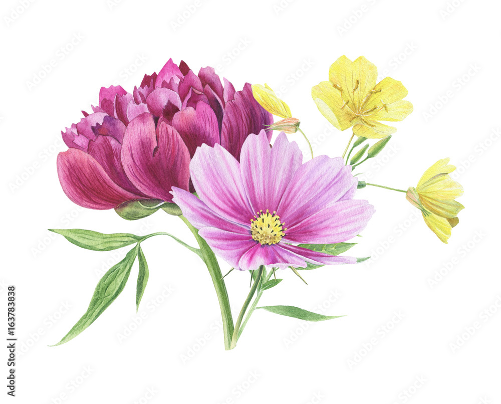 Beautiful watercolor floral clipart isolated Stock Illustration | Adobe ...