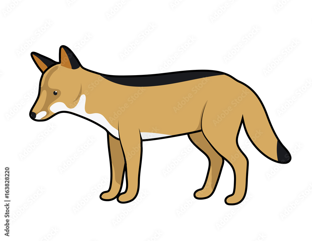 cartoon vector illustration of a coyote Stock Vector | Adobe Stock