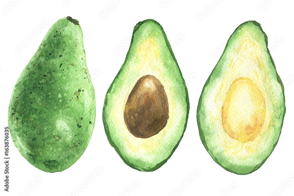 Hand drawn watercolor avocado, green sliced half with pit, food art ...