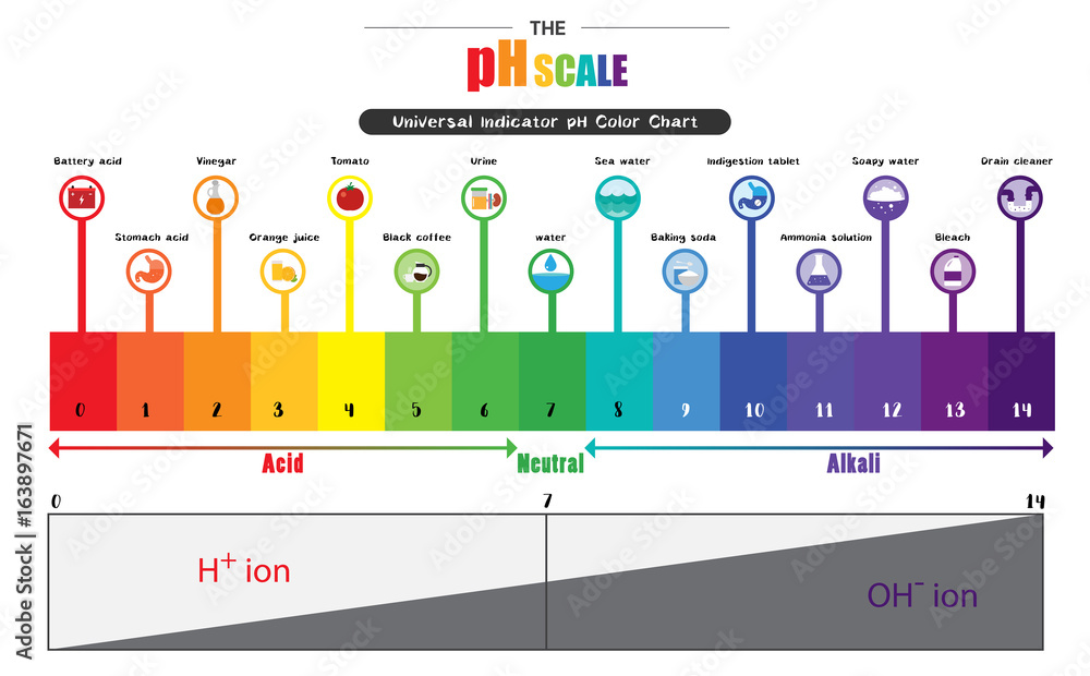Poster The pH scale Universal Indicator pH Color Chart diagram ...