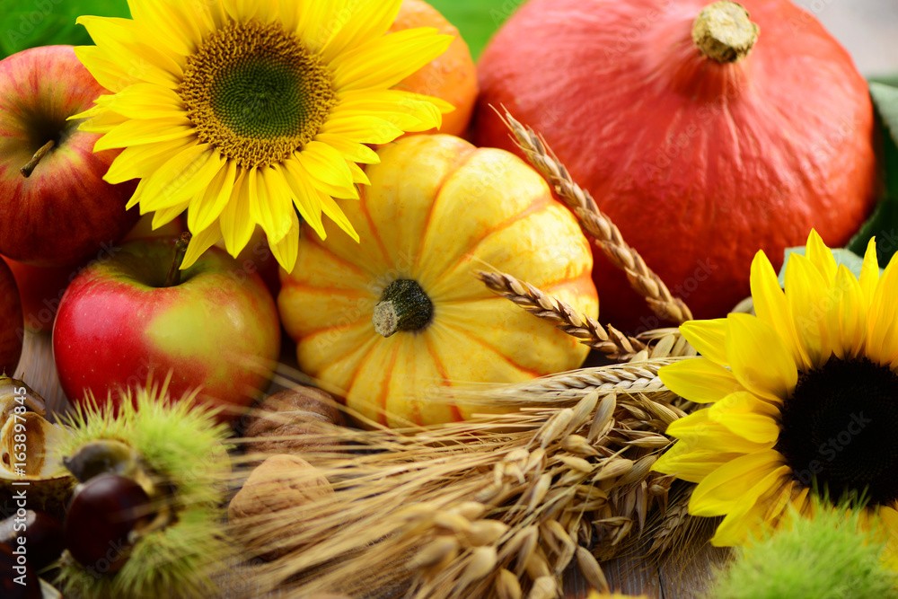 Erntedankfest Stock-Foto | Adobe Stock