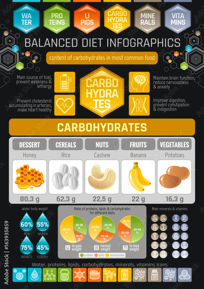 Carbons diet infographic diagram poster. Water protein lipid ...
