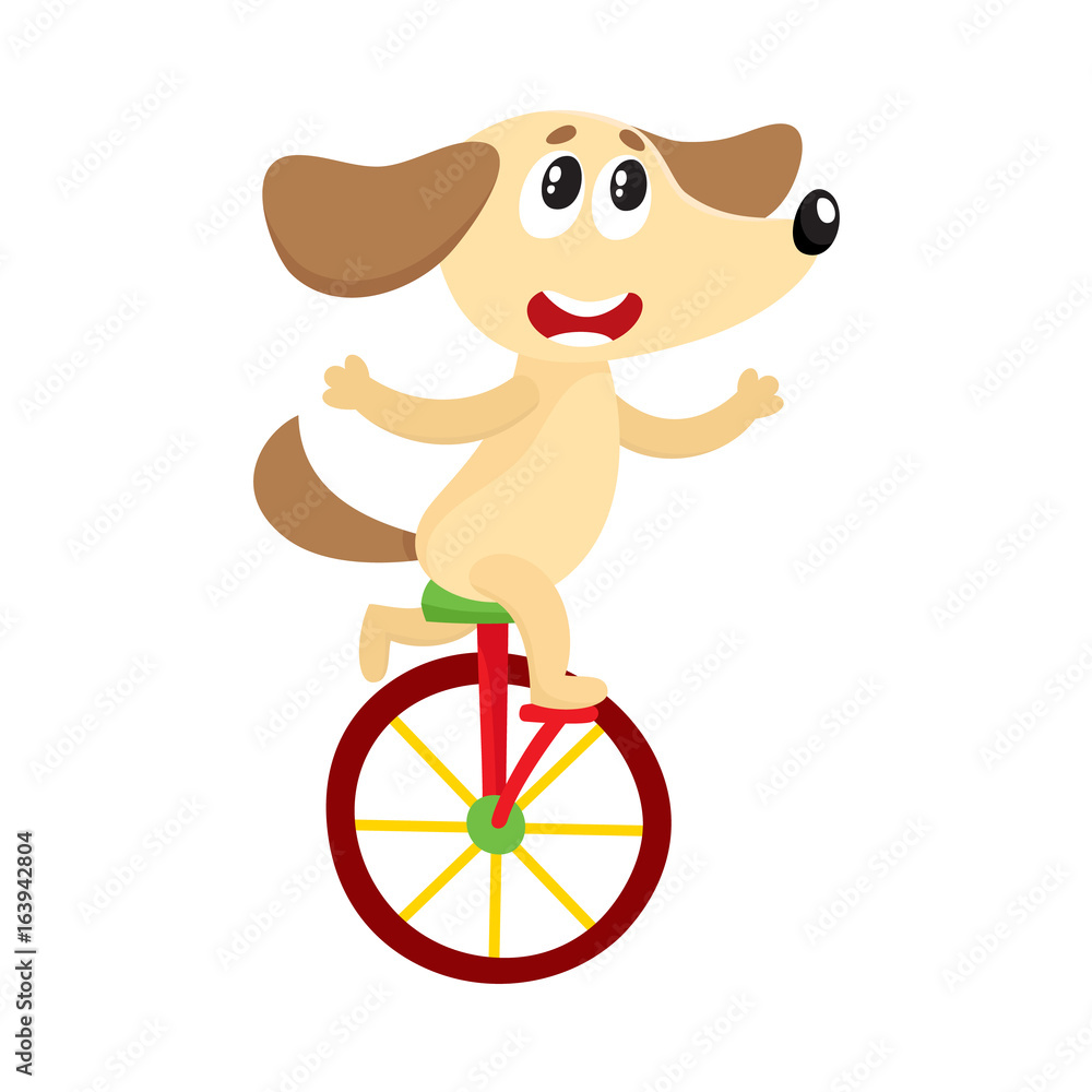Dog That Rides Bike