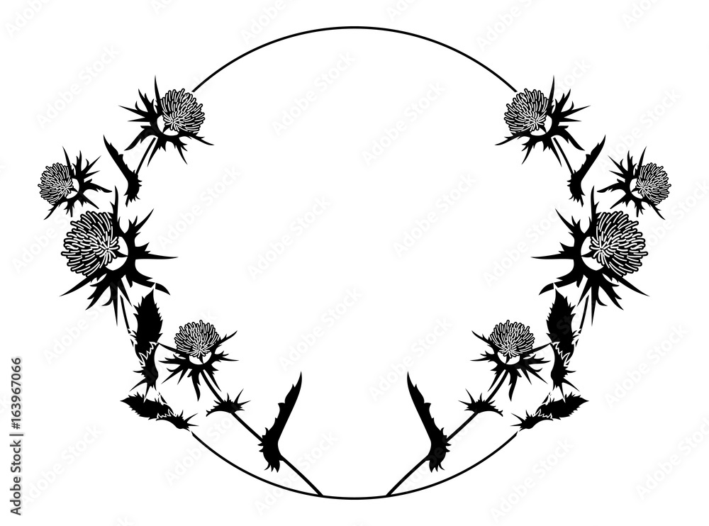 Round frame with thistle silhouette. Vector clip art. Stock Vector ...