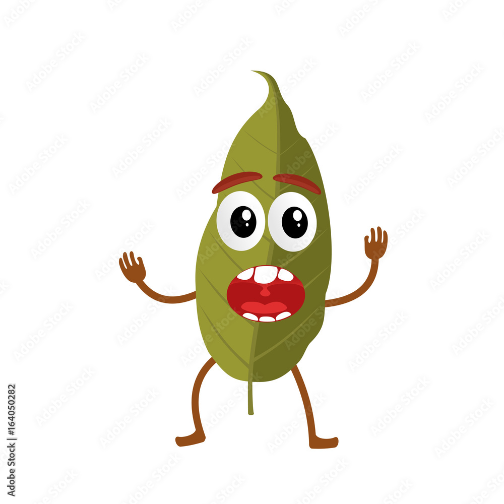 Bay leaf cartoon illustration Stock Vector | Adobe Stock