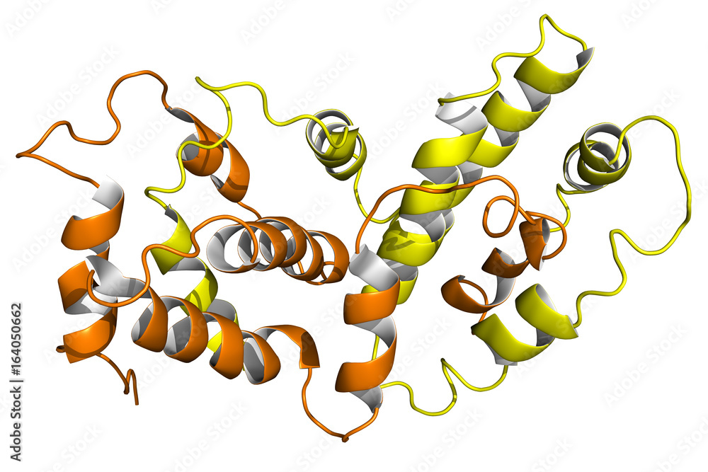 Protein Structure Cartoon