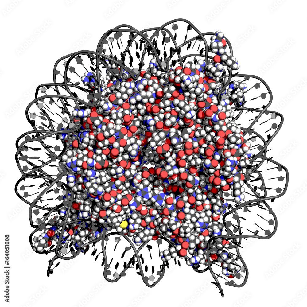 Nucleosome is a basic unit of DNA packaging in eukaryotic cells, with ...