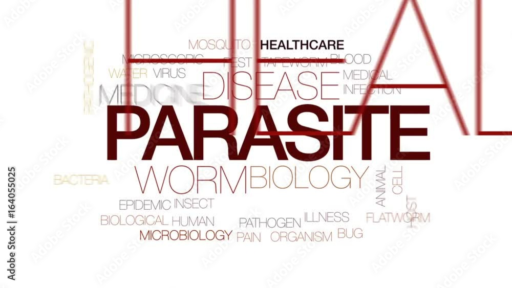 Parasite animated word cloud, text design animation. Kinetic typography ...