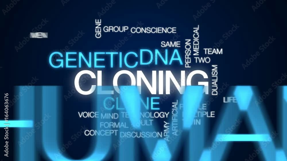 Cloning animated word cloud, text design animation. Stock ビデオ | Adobe Stock