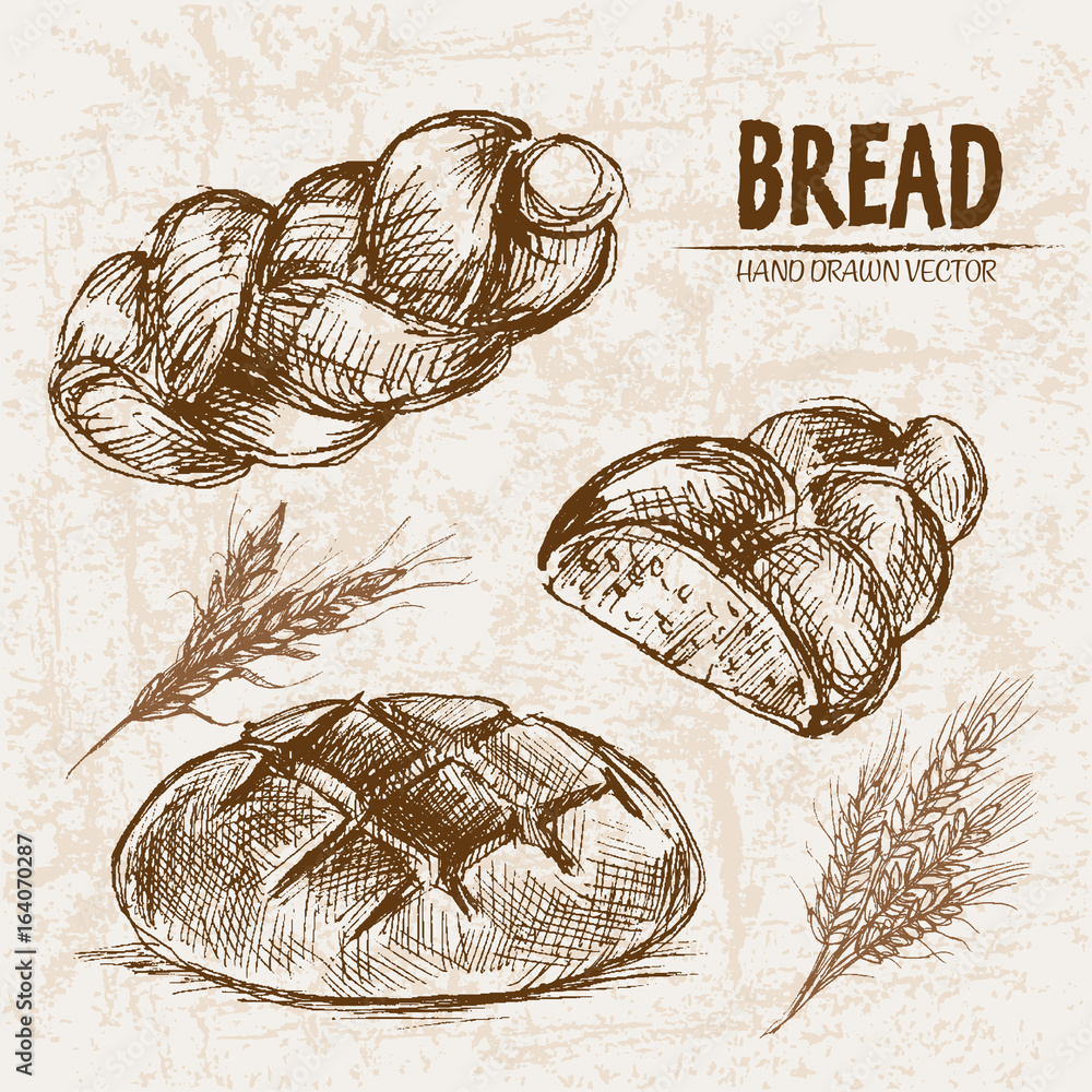 Digital vector detailed line art baked bread and dried wheat hand drawn ...