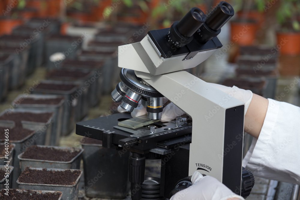 Biologist preparing soil sample for microscope Stock Photo | Adobe Stock