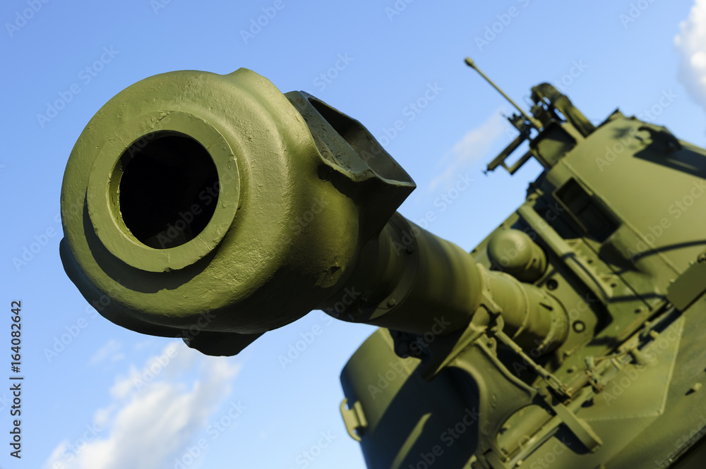 Modern Cannon Weapon