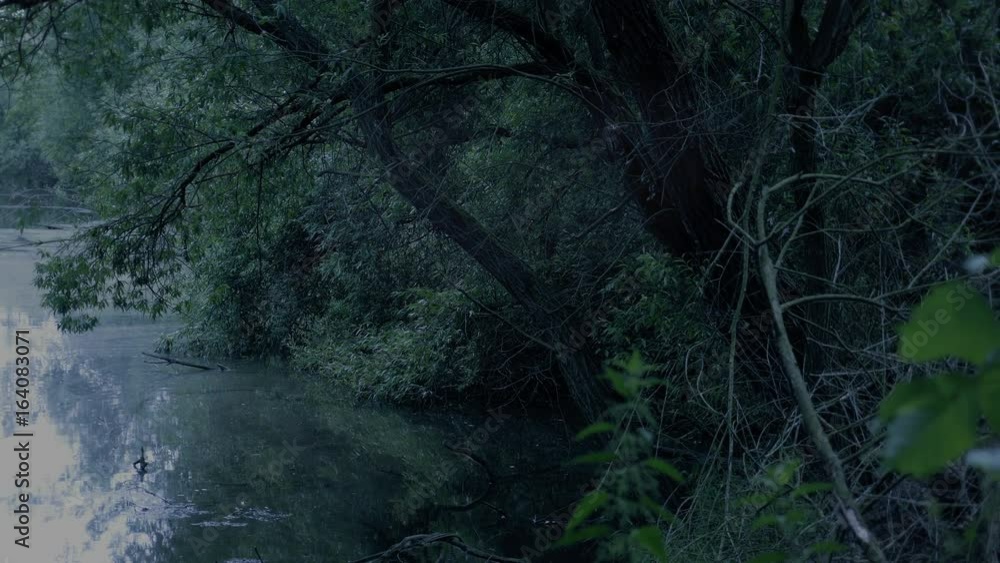 Swamps in autumn. Cool dark lake in primeval forest. Cold melancholic ...