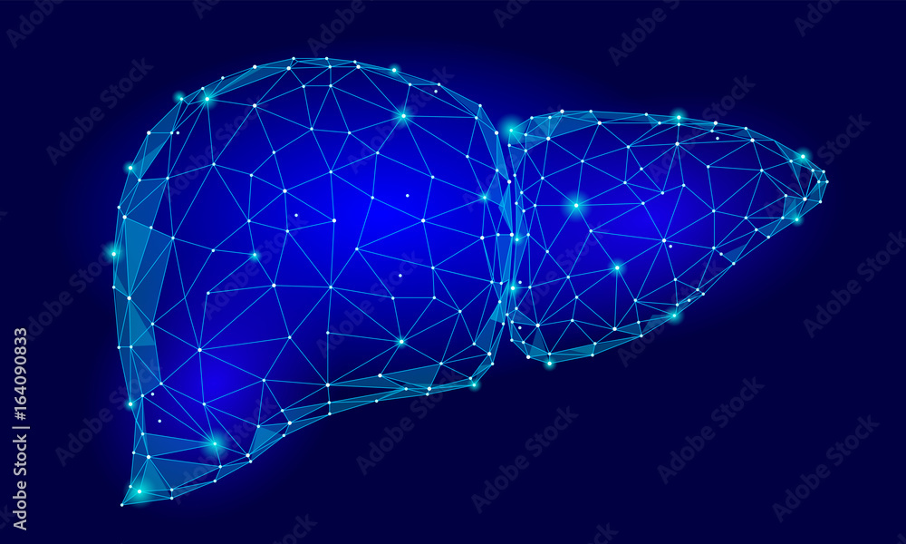 Human Liver Internal Organ Triangle Low Poly. Connected dots blue color ...