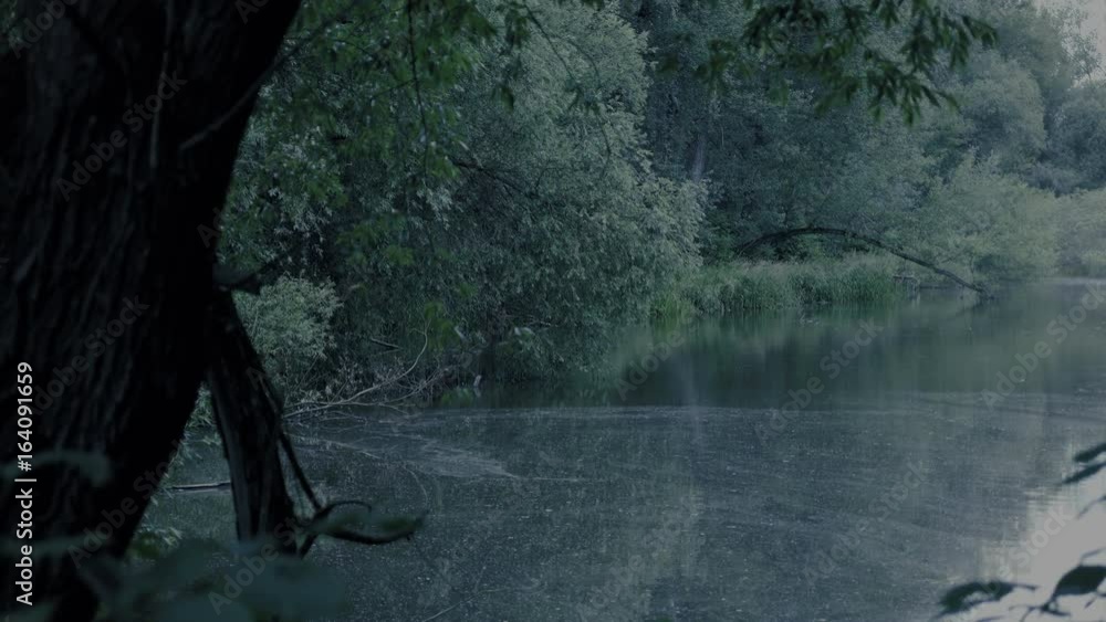 Swamps in autumn. Cool dark lake in primeval forest. Cold melancholic ...