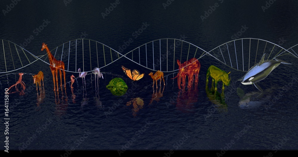 DNA molecule Biodiversity, variety of animals reflected in water.WIde ...