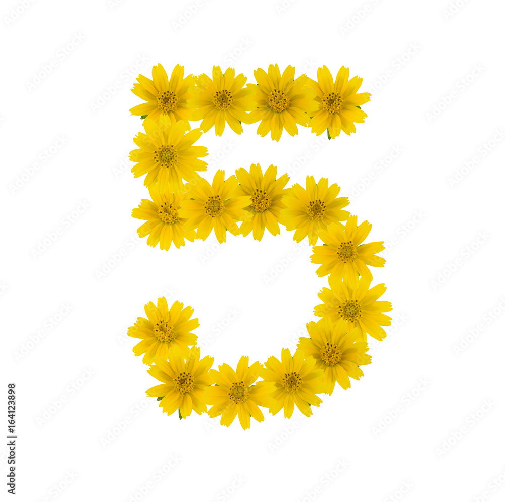 Number 5 made from yellow Wedelia flowers isolated on white background ...