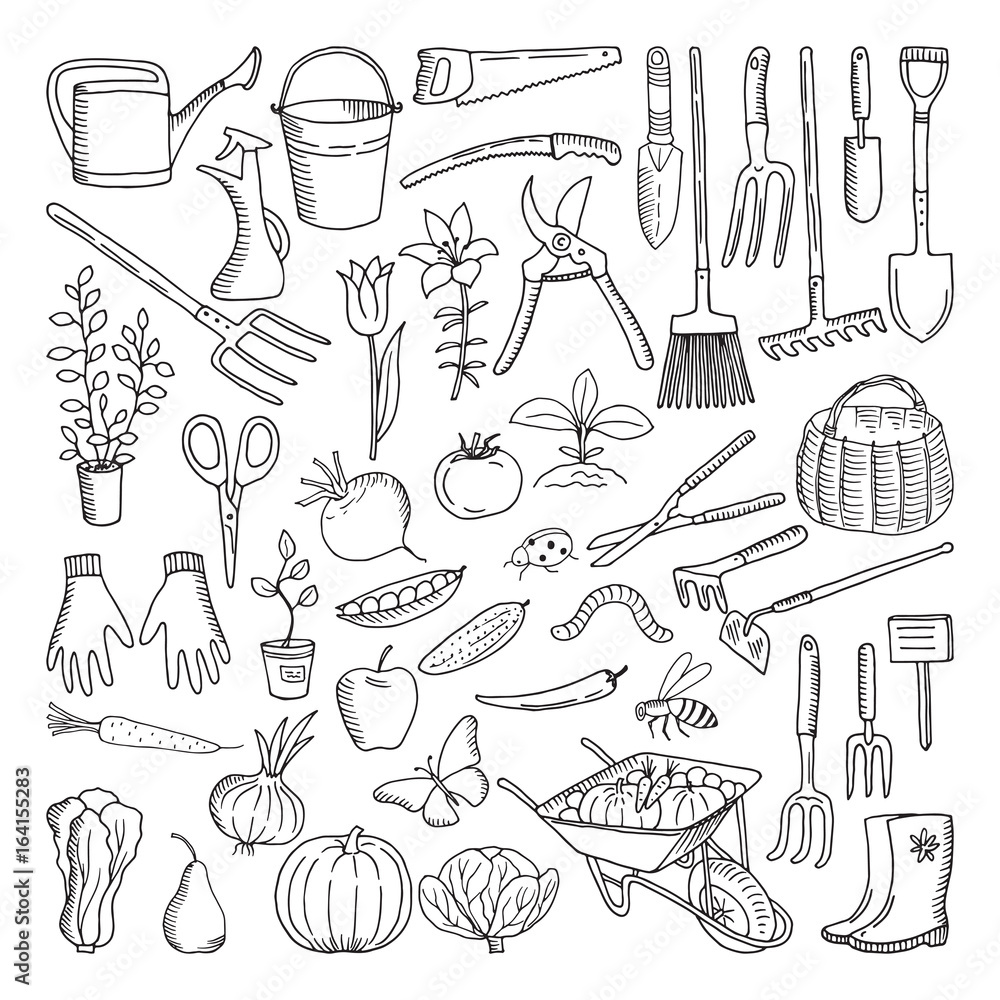 Hand drawn tools for farming and gardening. Doodle of nature ...