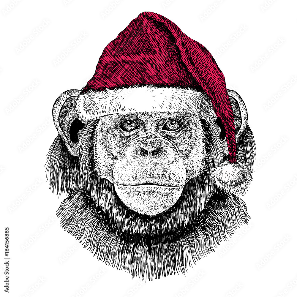 Santa Chimp