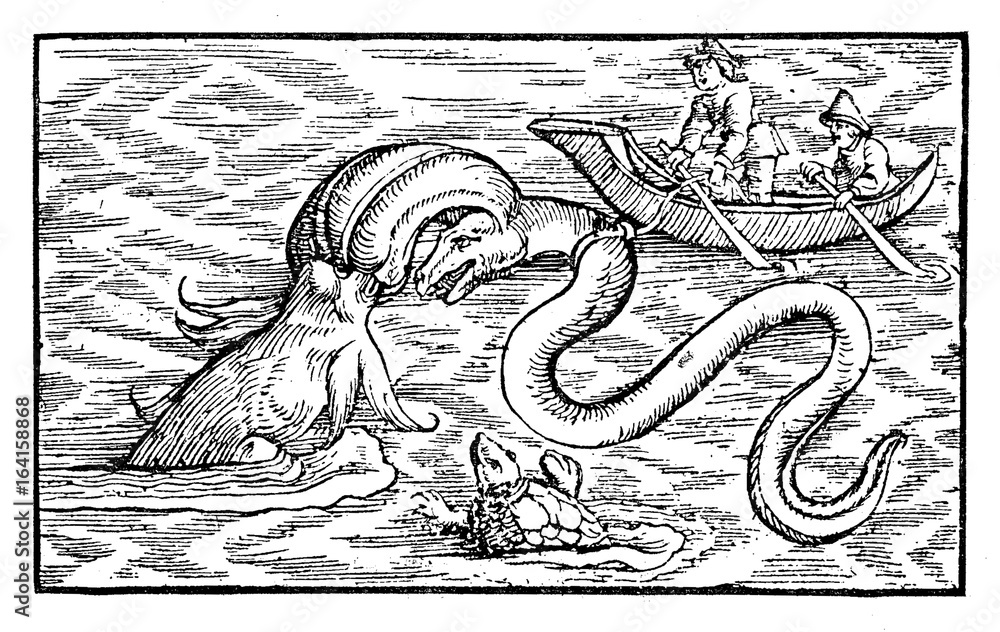 Sea monsters, marine snake and sputtering whale fighting, medieval ...