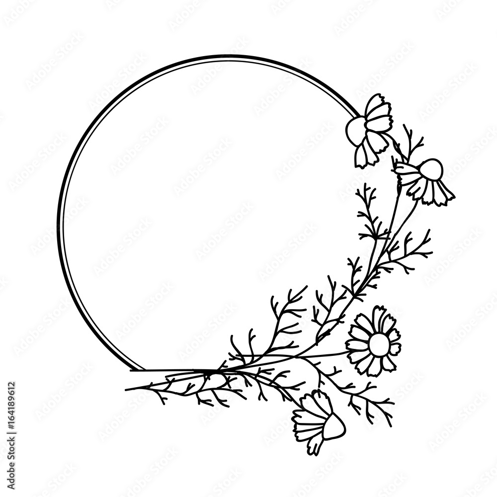 Elegant Black Borders