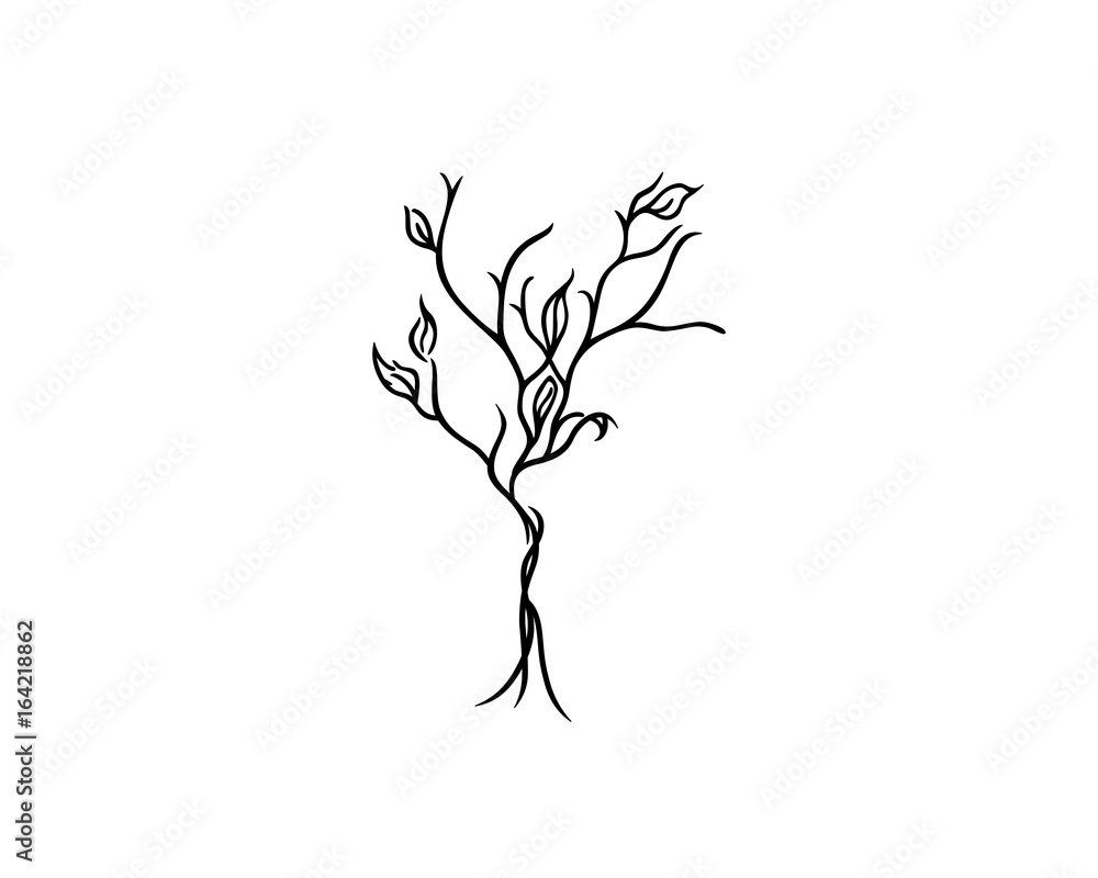 Line art drawing of a tree, vector illustration. Stock Vector | Adobe Stock