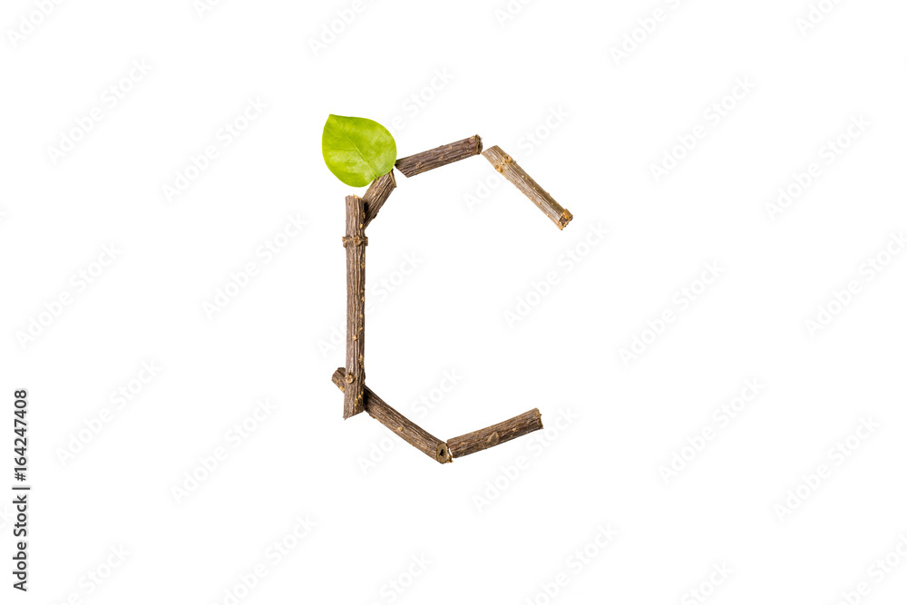 The Letter C In Nature