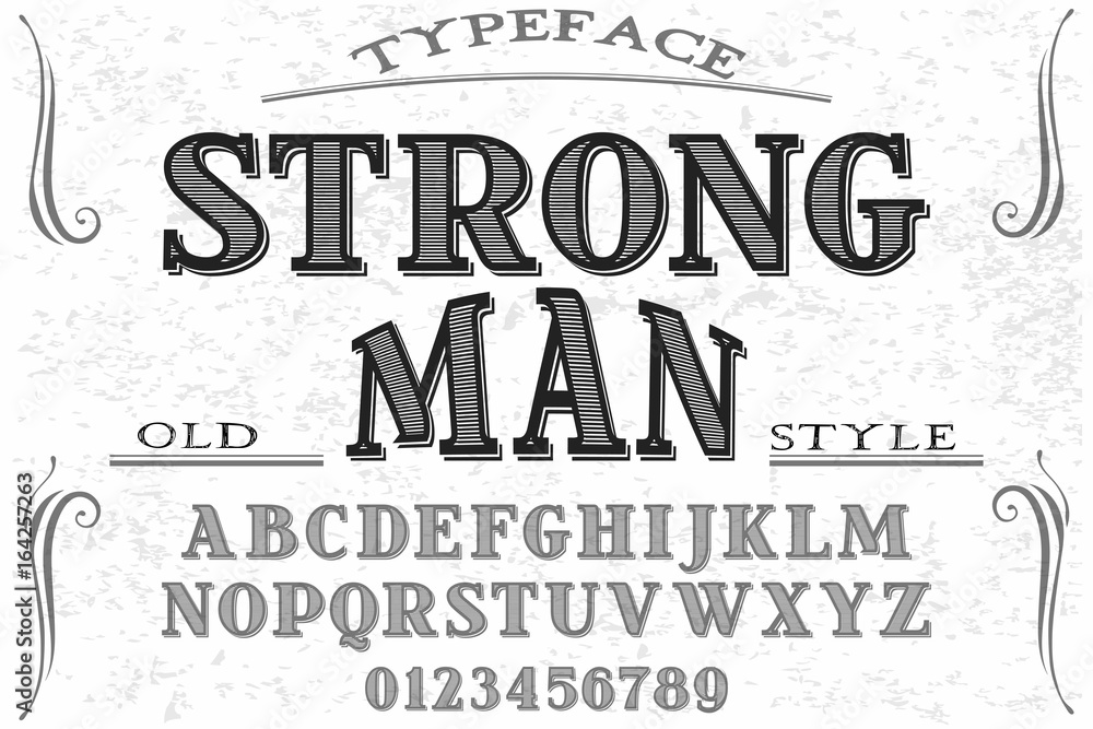 Font handcrafted vector script alphabet font vintage old style and ...