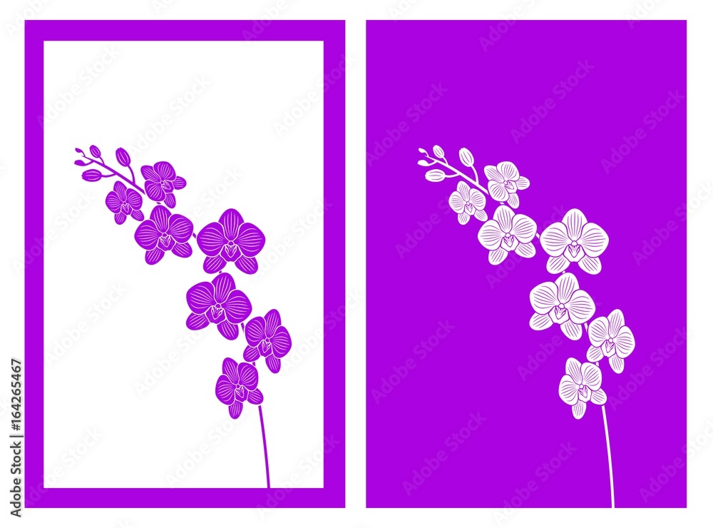 purple orchid on purple background and frame ,vector illustration Stock ...