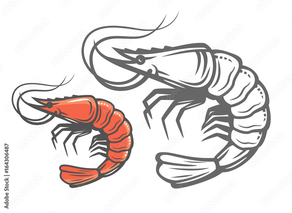 vector color prawn Stock Vector | Adobe Stock