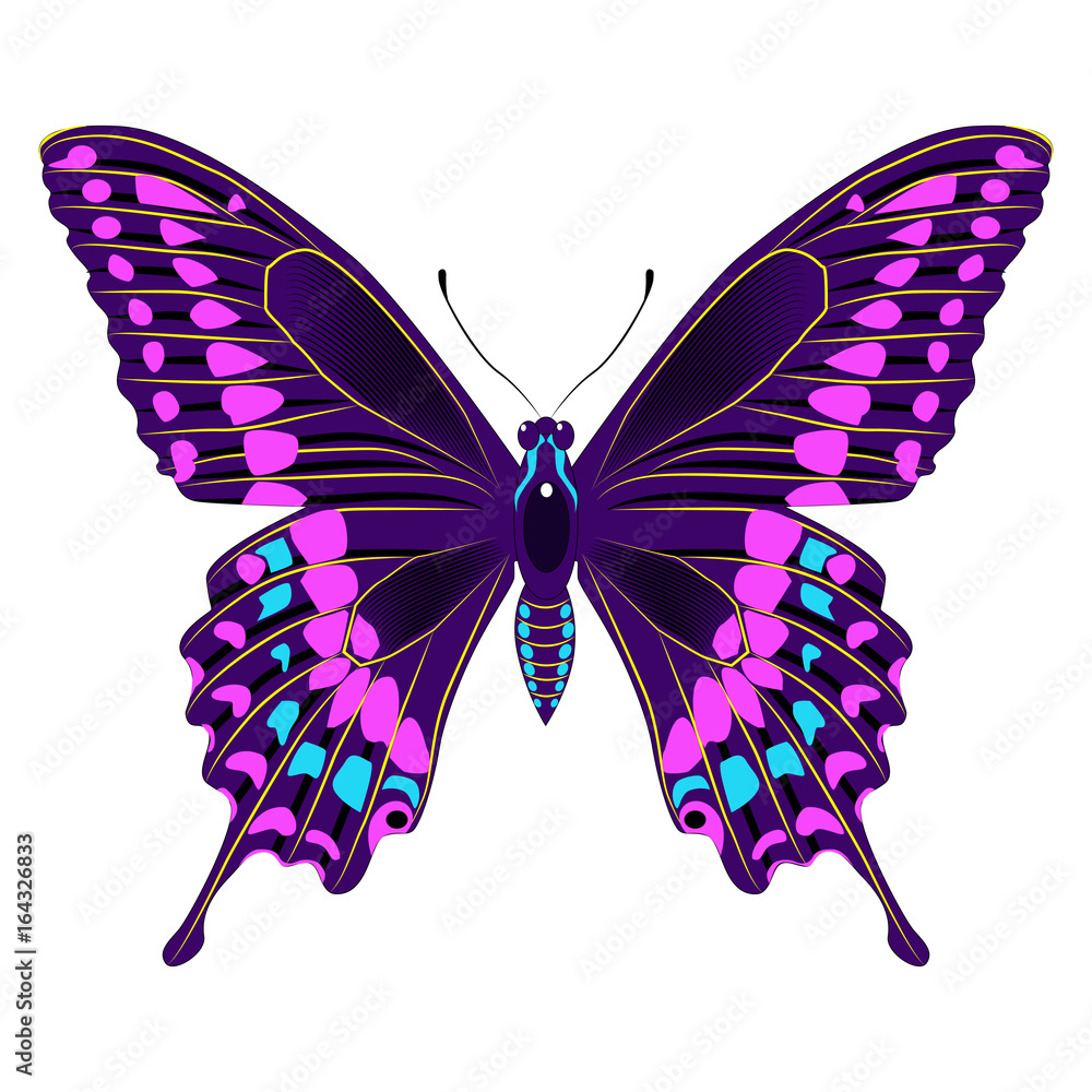 Bright beautiful purple butterfly. Vector illustration isolated. Stock ...