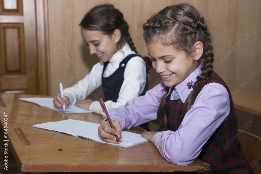Schoolgirls in class Stock Photo | Adobe Stock