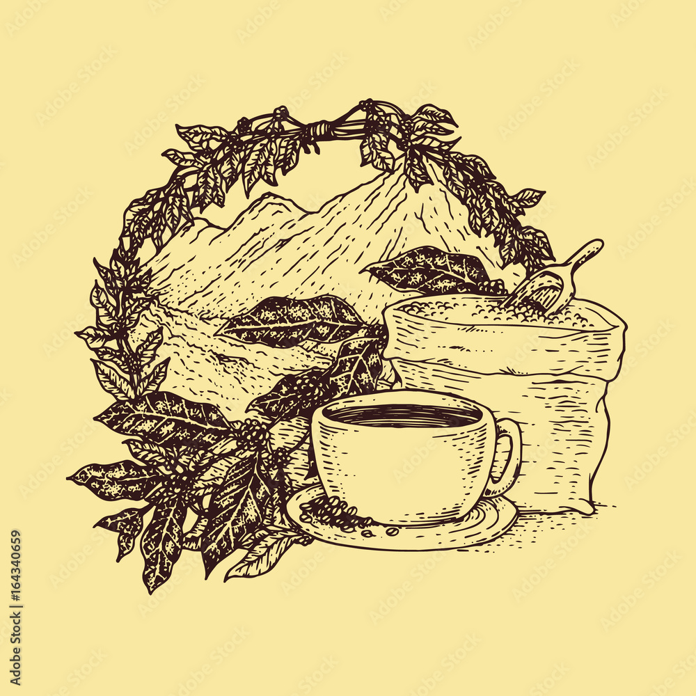 Coffee Cup Pencil Drawing